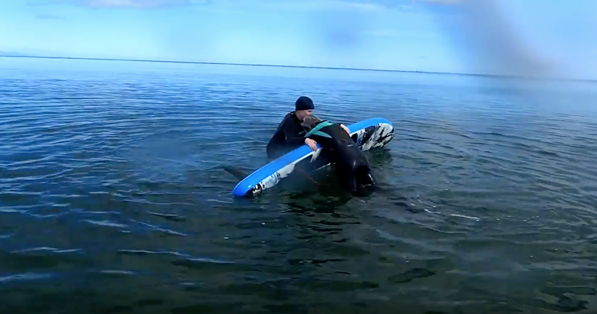Sup Rescue Practice - Gonzo SUP - SUP World Mag