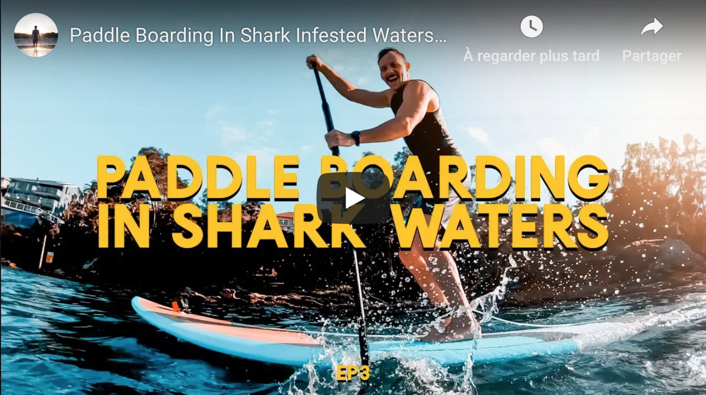 Paddle Boarding In Shark Infested Waters || Cool Dad, Burnt 1000 ...