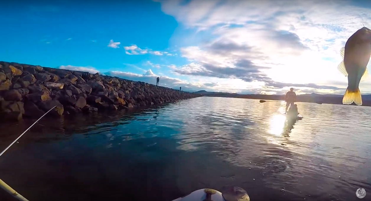 Paddle Board Set Up for Fishing - Board Ty[e, Tips, & Tackle for ...