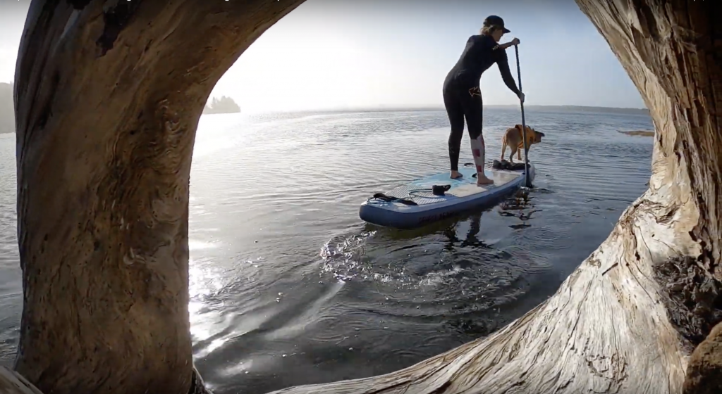 Sprout Surf SUP Dog Paddleboarding Standup Paddle - SUP World Mag