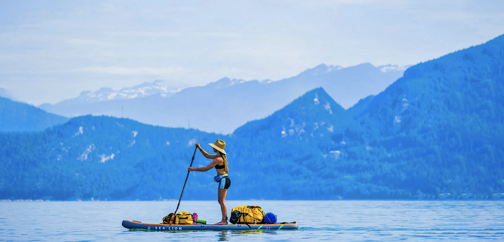 Sea Lion - SUP Safety - SUP World Mag